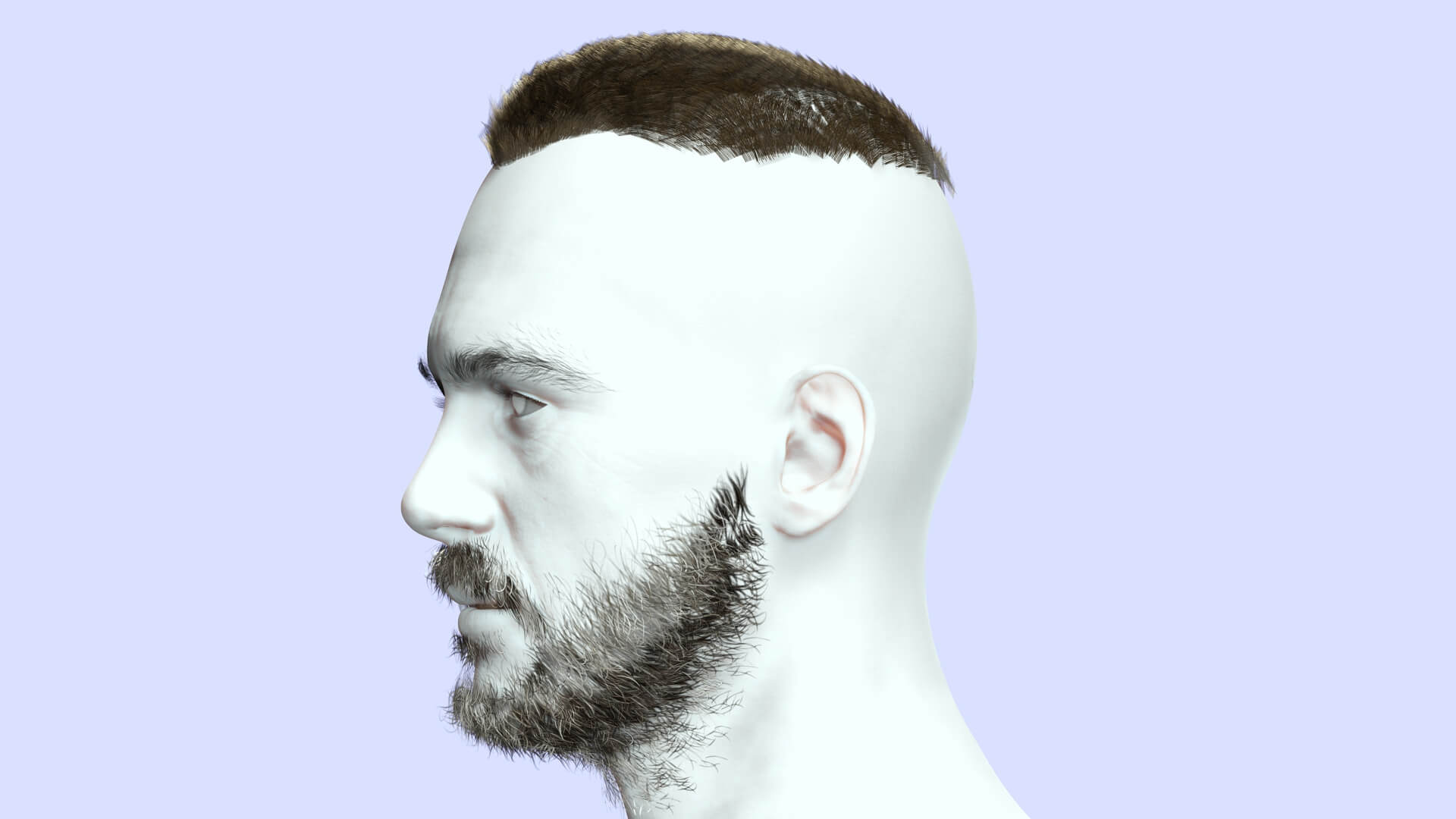 Realistic Male Hair - Buzz Hair Cut 3D Model by khaloui