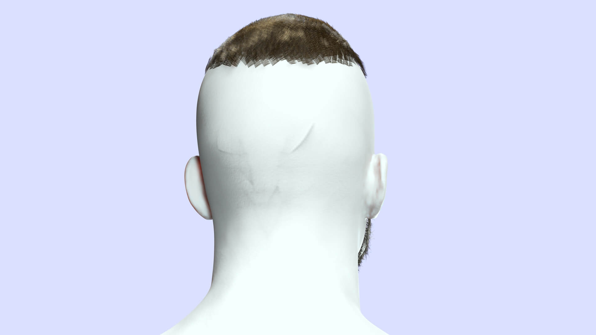 Realistic Male Hair - Buzz Hair Cut 3D Model by khaloui