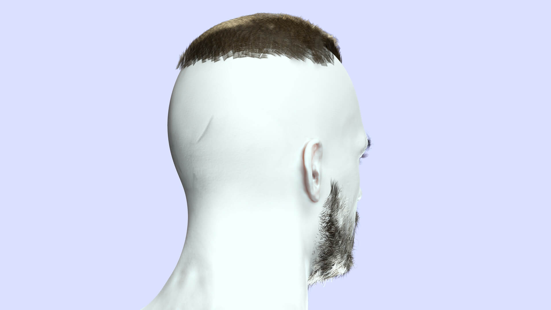 Realistic Male Hair - Buzz Hair Cut 3D Model by khaloui
