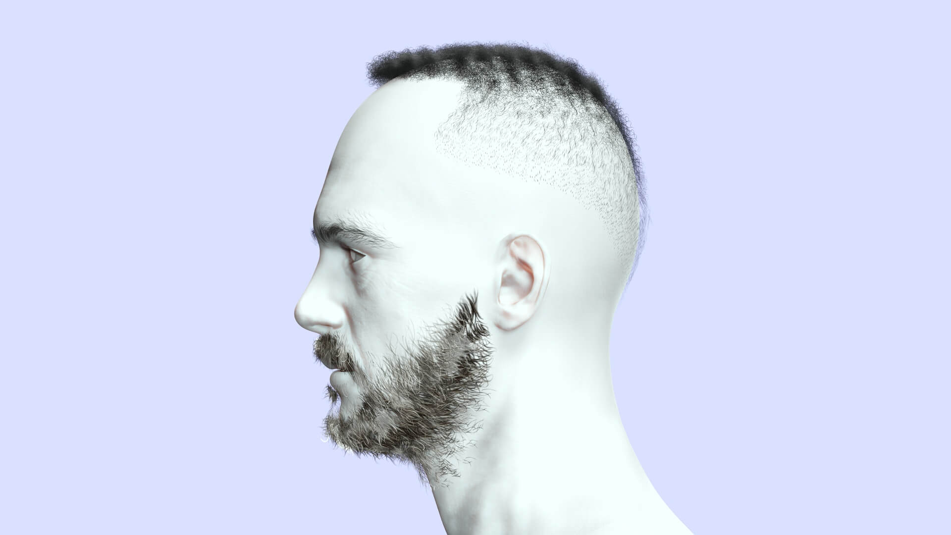 Realistic Male Hair - Curly Fade 3D Model by khaloui