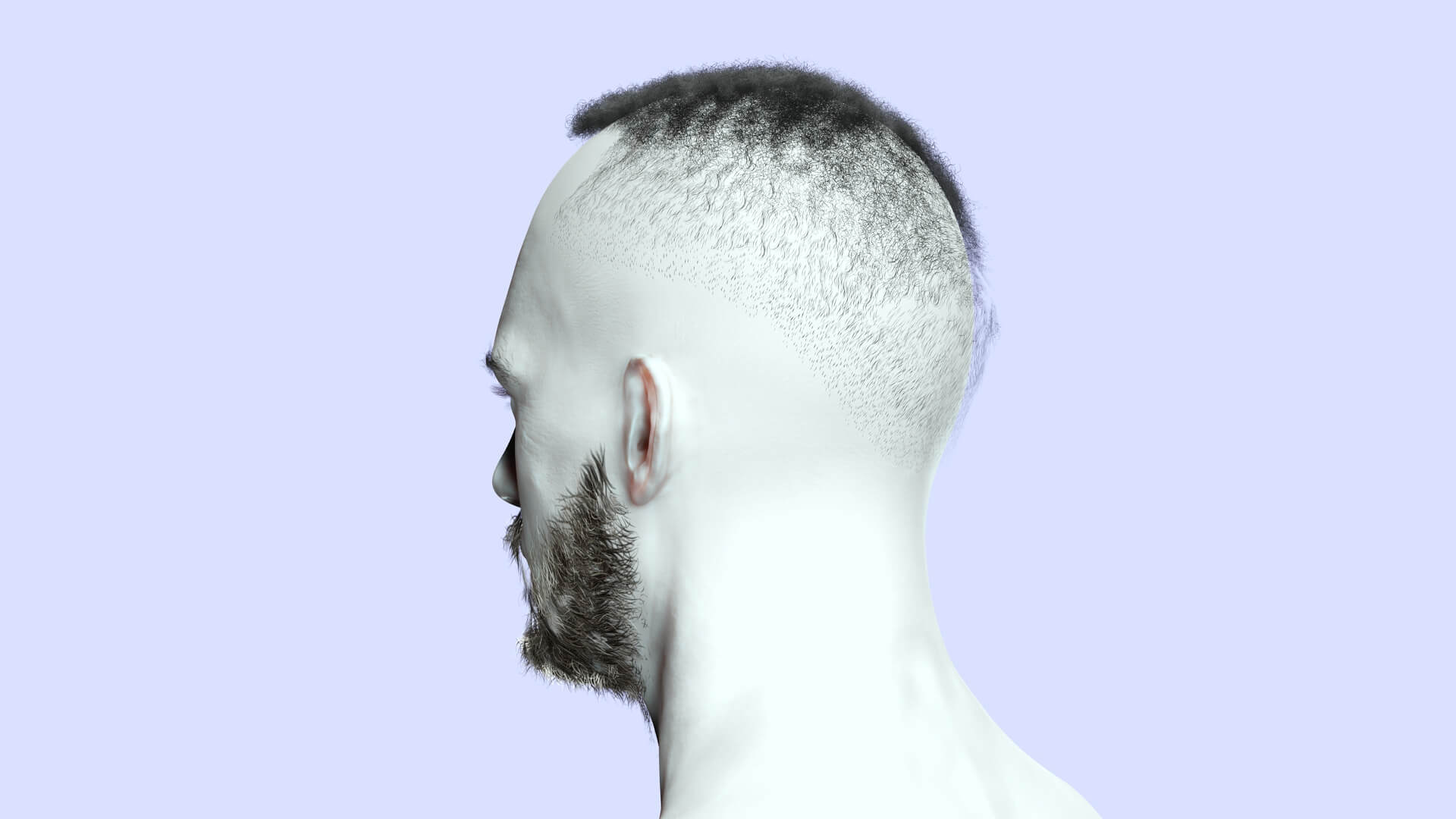 Realistic Male Hair - Curly Fade 3D Model by khaloui