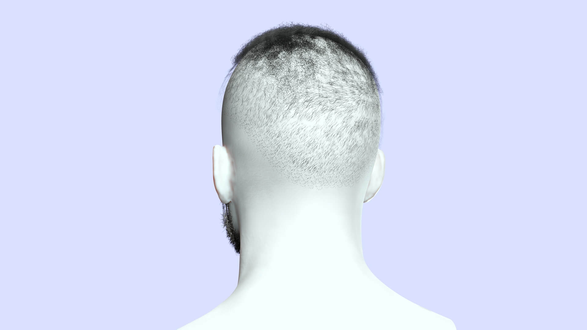 Realistic Male Hair - Curly Fade 3D Model by khaloui