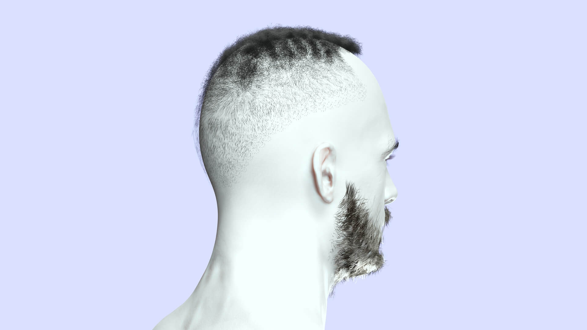 Realistic Male Hair - Curly Fade 3D Model by khaloui