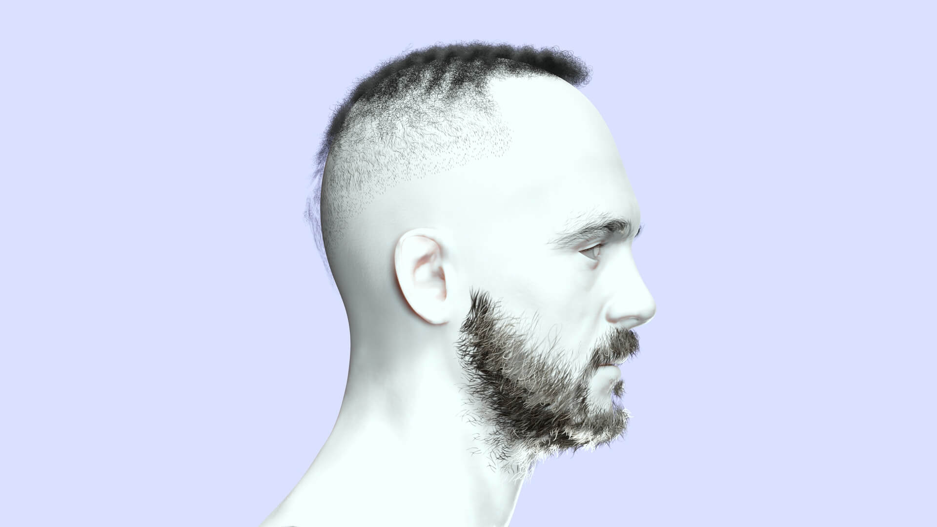 Realistic Male Hair - Curly Fade 3D Model by khaloui