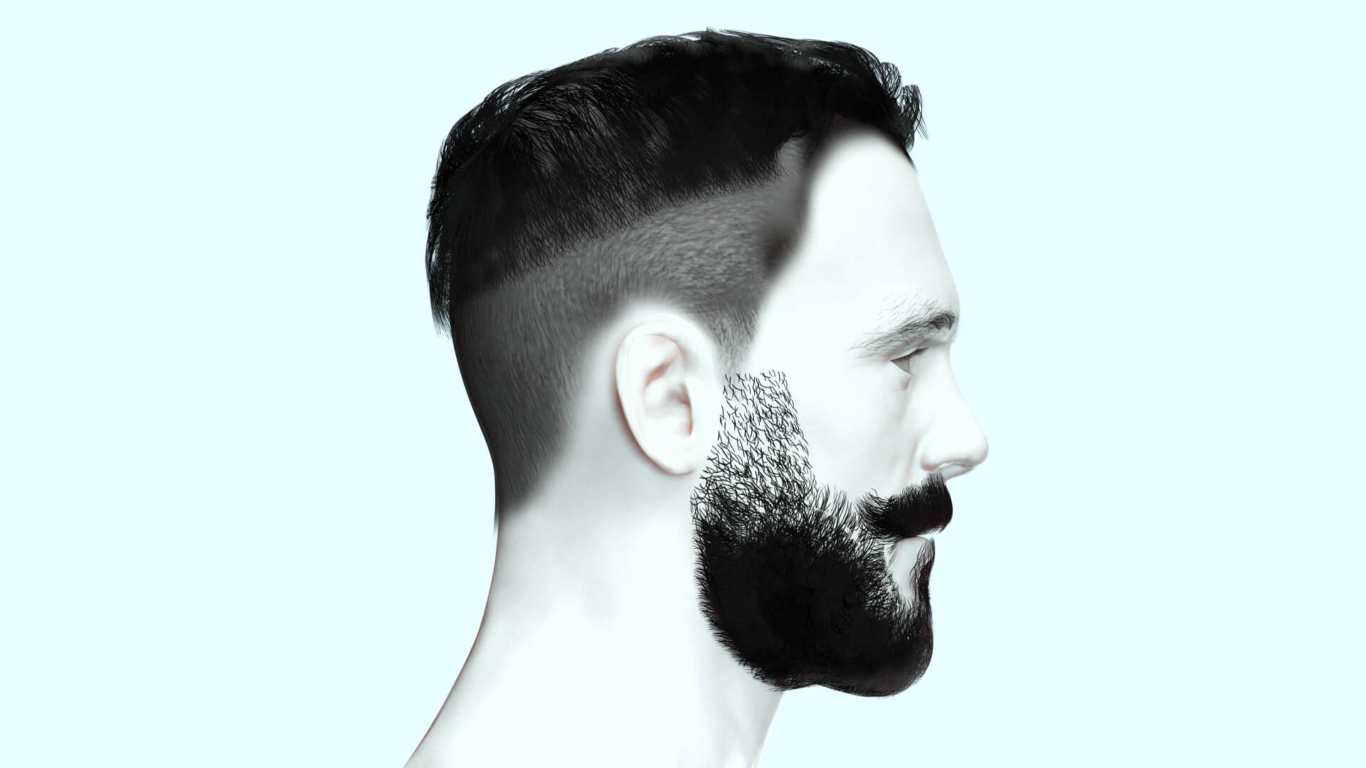 Realistic Male Hair - Vedi Beard 3D Model by khaloui