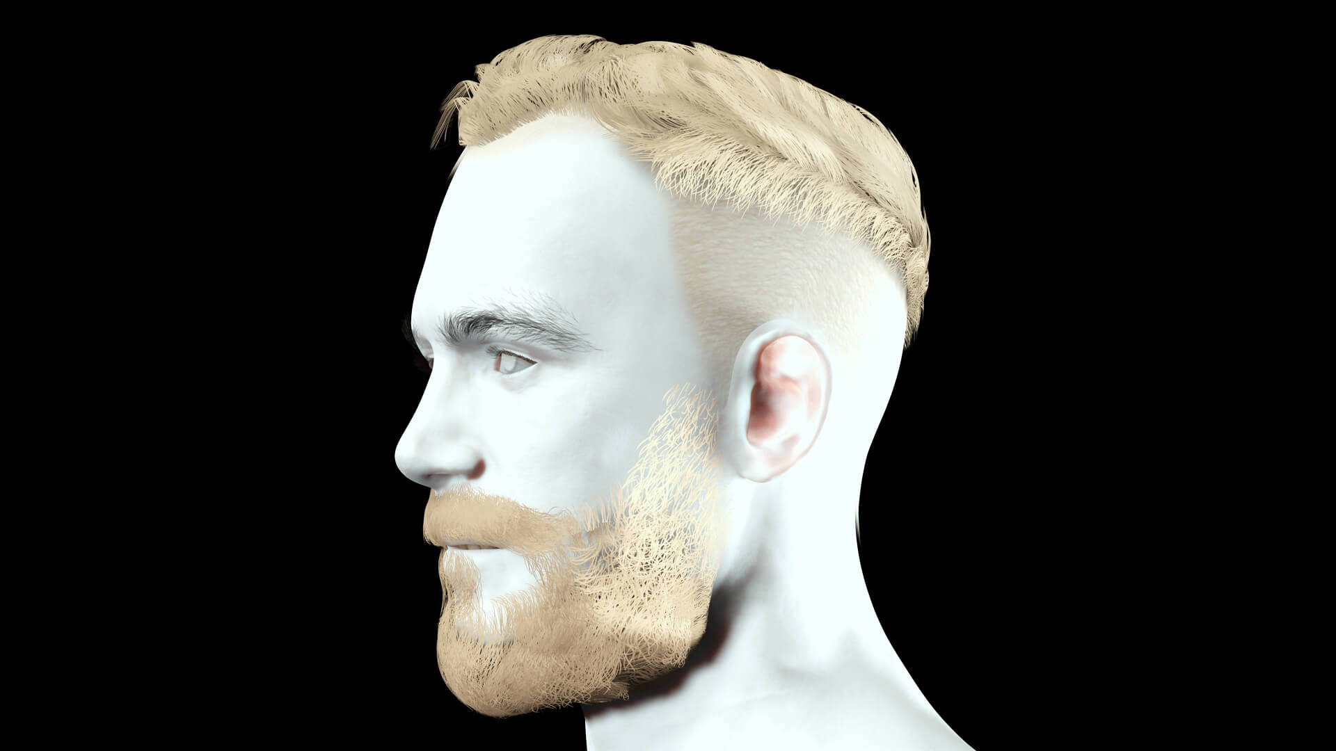 Realistic Male Hair - Vedi Beard 3D Model by khaloui