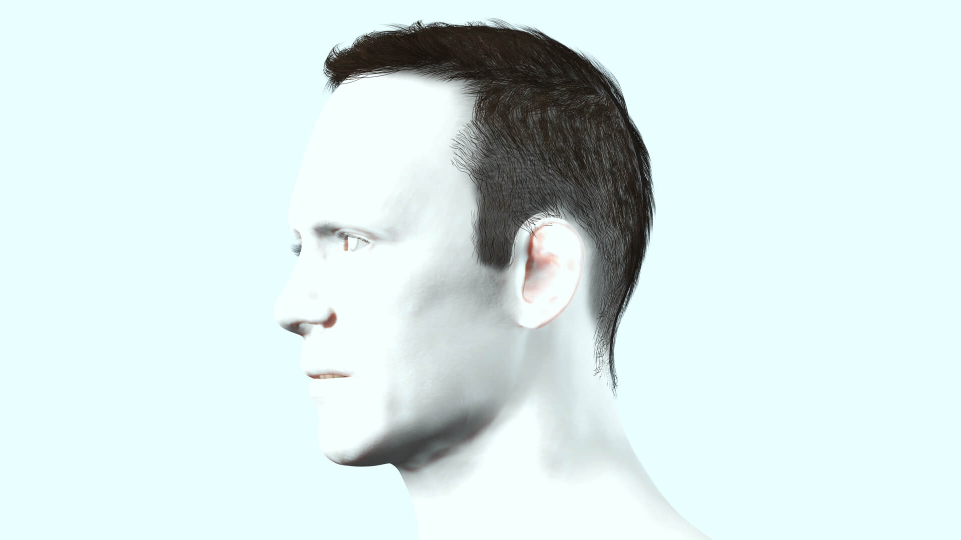 Realistic Male Hair - 3D Model by khaloui