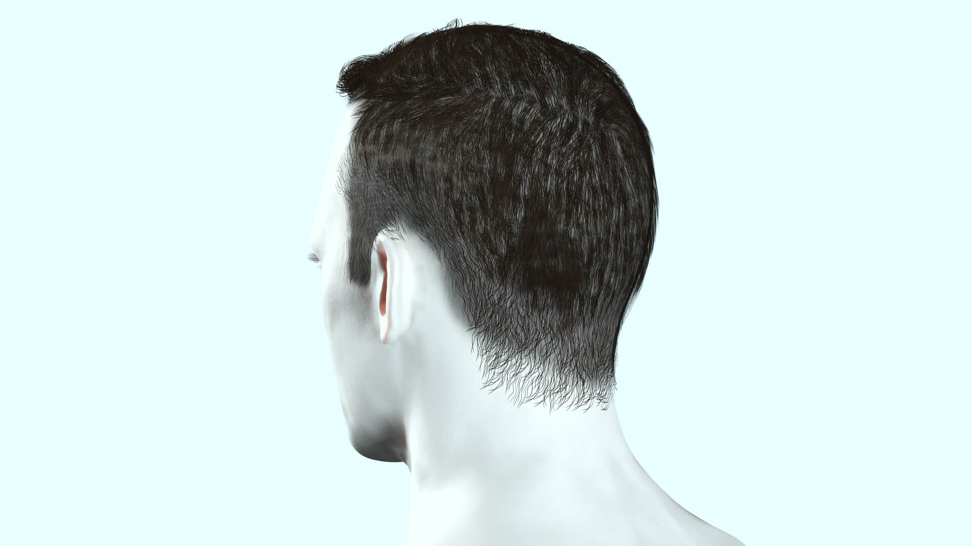Male Hair - 3D Model by khaloui