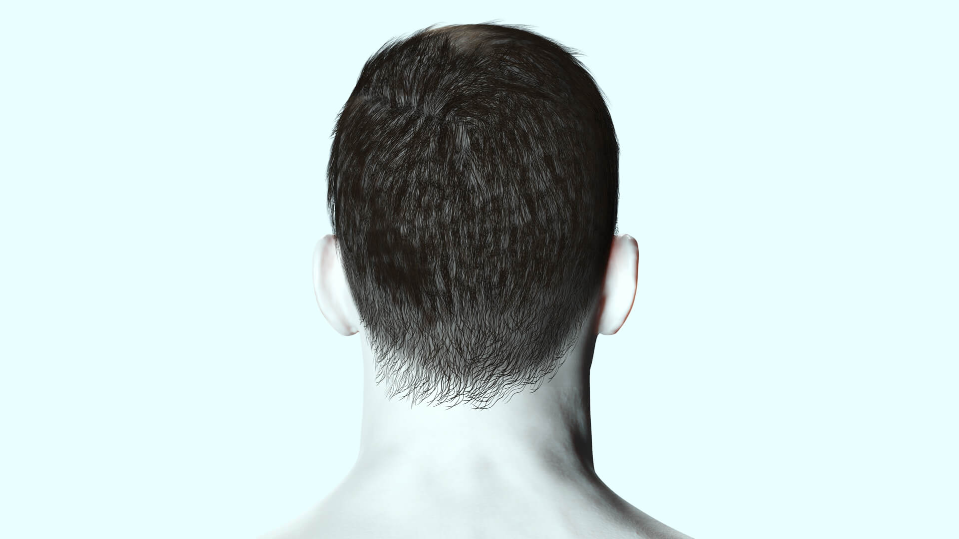 Male Hair - 3D Model by khaloui