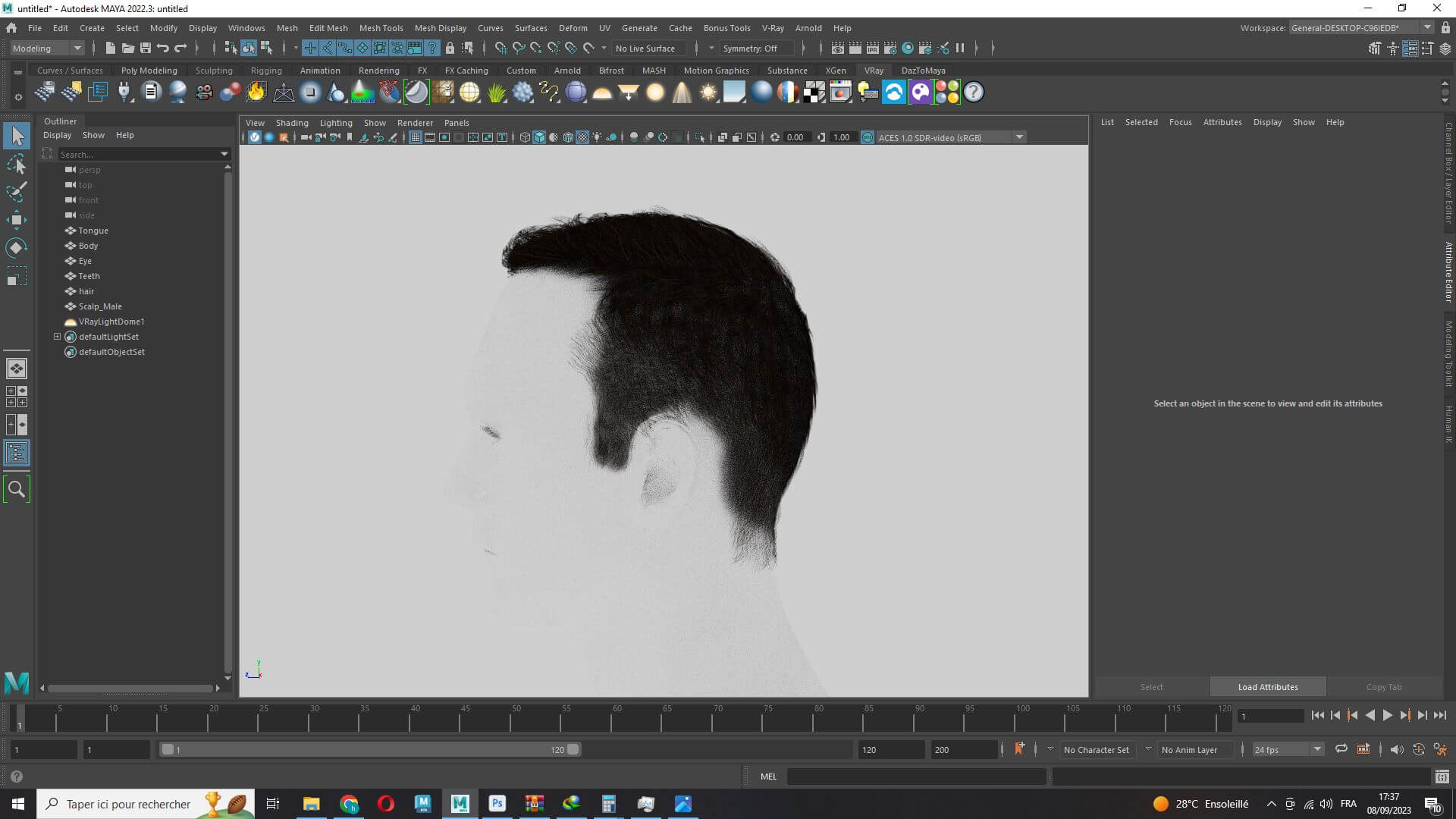 Male Hair - 3D Model by khaloui