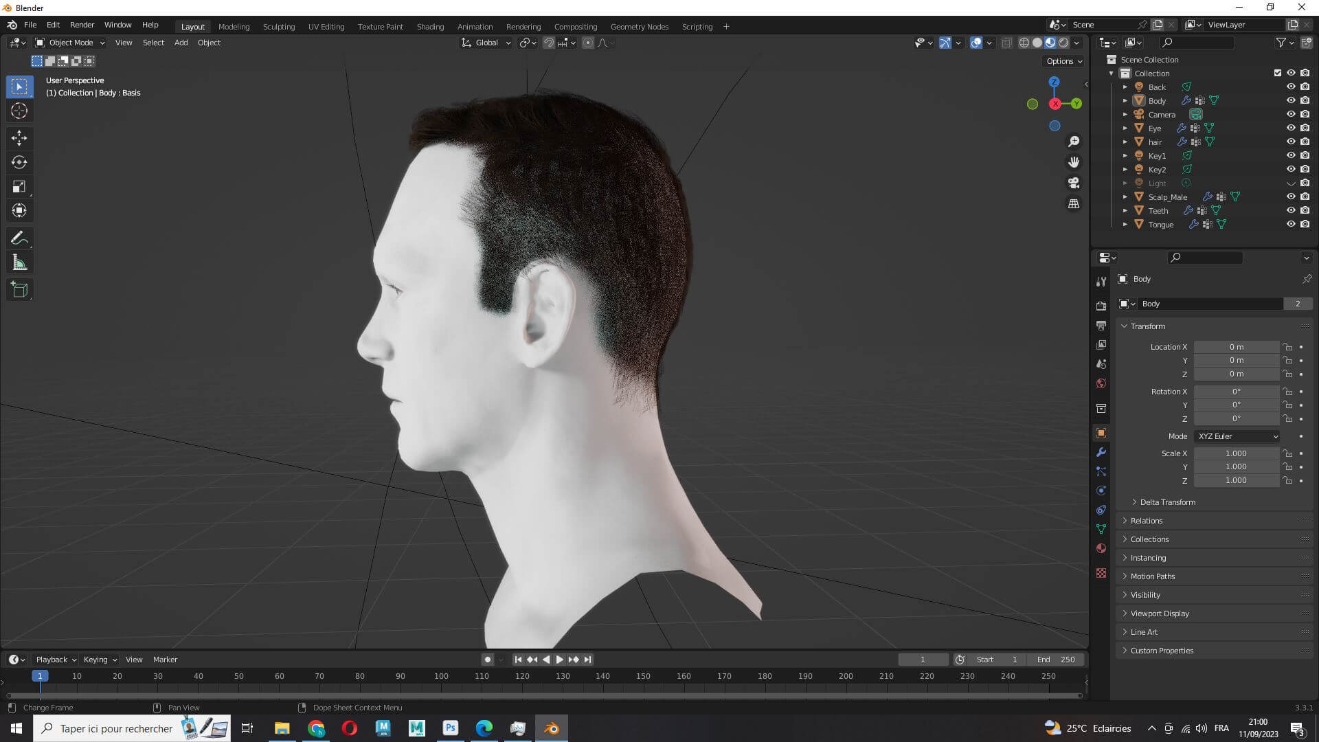 Realistic Male Hair - 3D Model by khaloui
