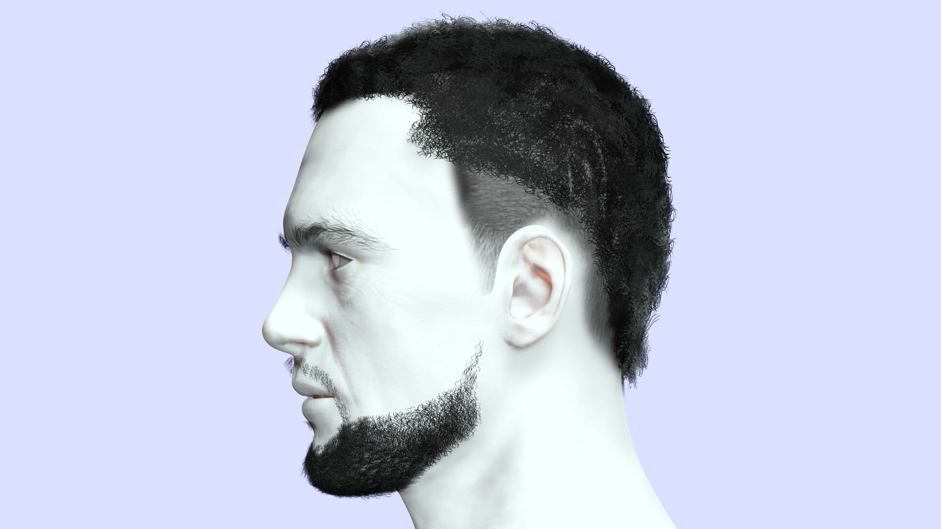 Short Curly Hair for Man - 3D Model by khaloui