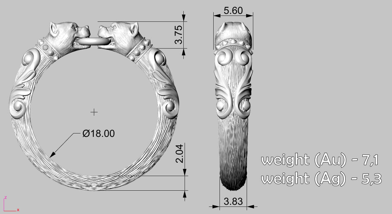 Ring R176 (With Rings in The Teeth) - 3D Print Model by Kickonster