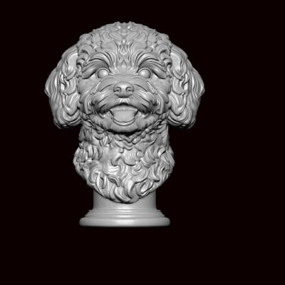 Bichon Frise Face Bust - 3D Model by KolyDigital