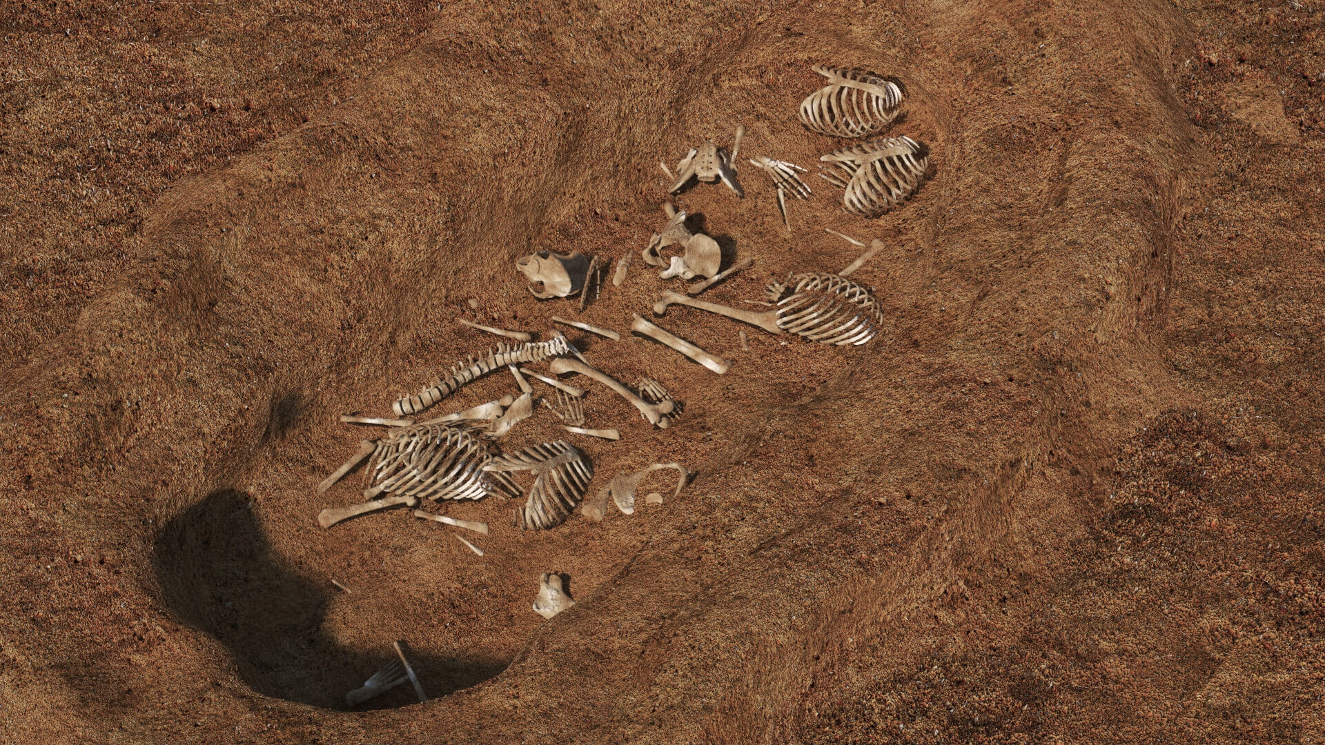 Grave Full of Human Bones Skeletons - 3D Model by kopofx