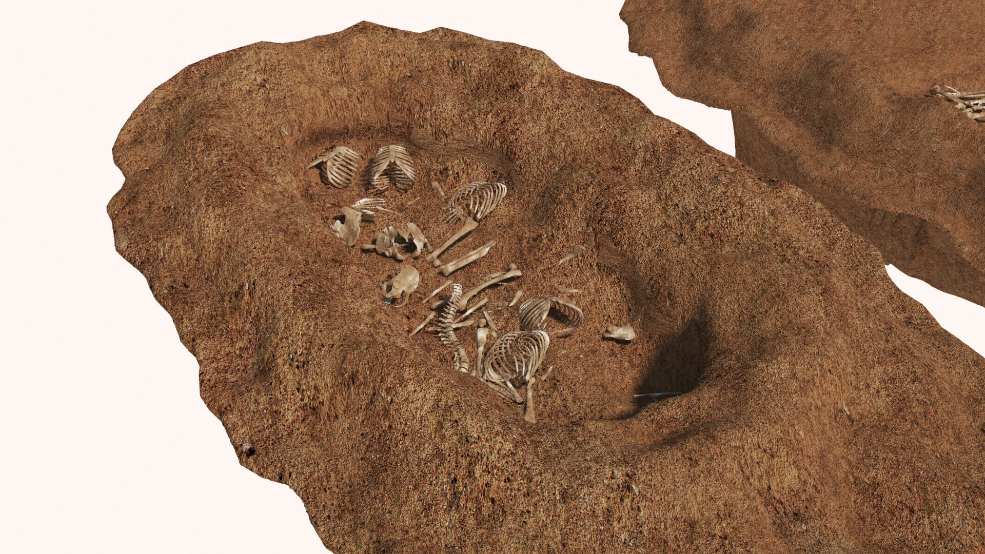 Grave Full of Human Bones Skeletons - 3D Model by kopofx