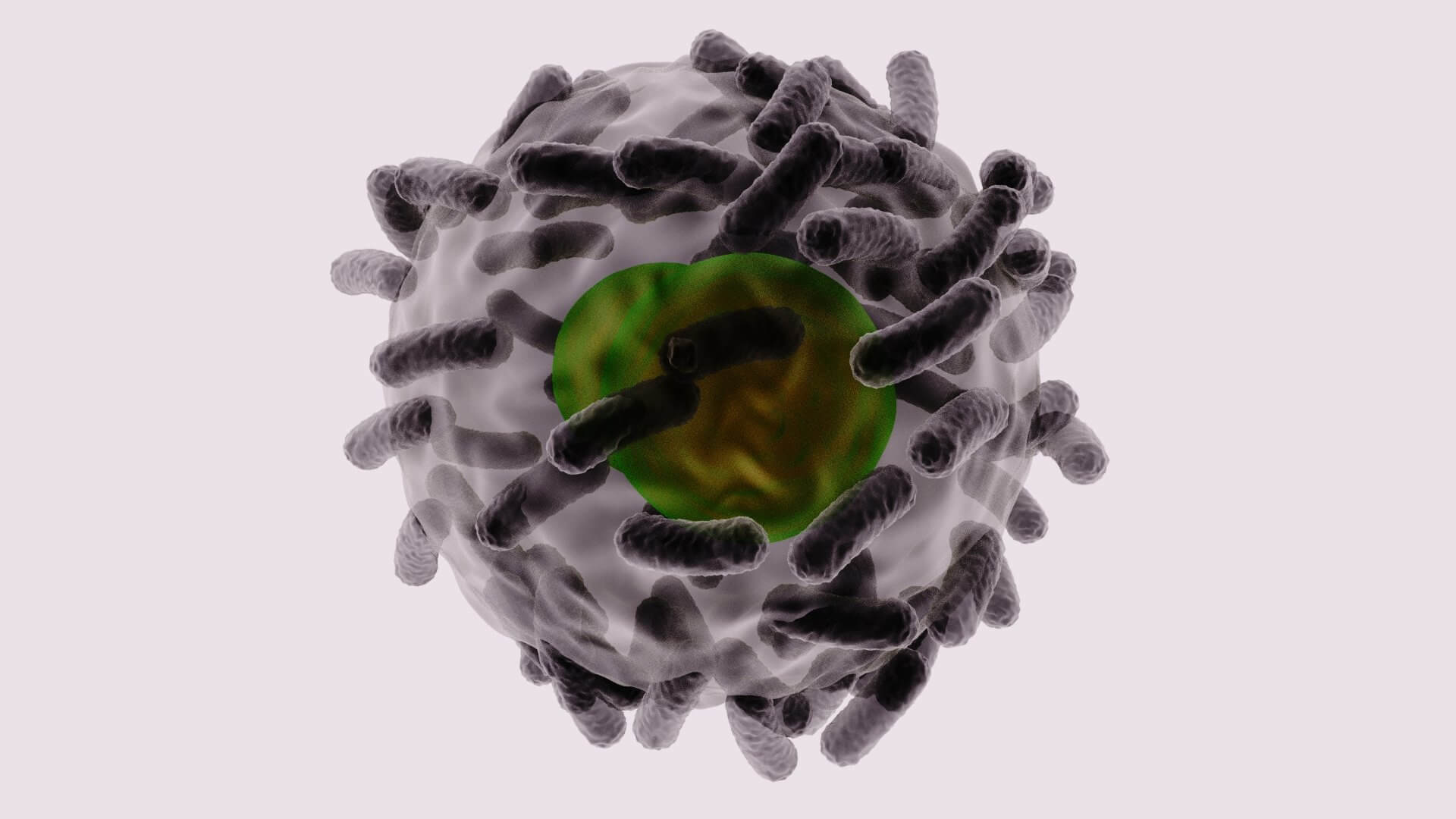 Monkeypox Virus viruela mono - 3D Model by kopofx