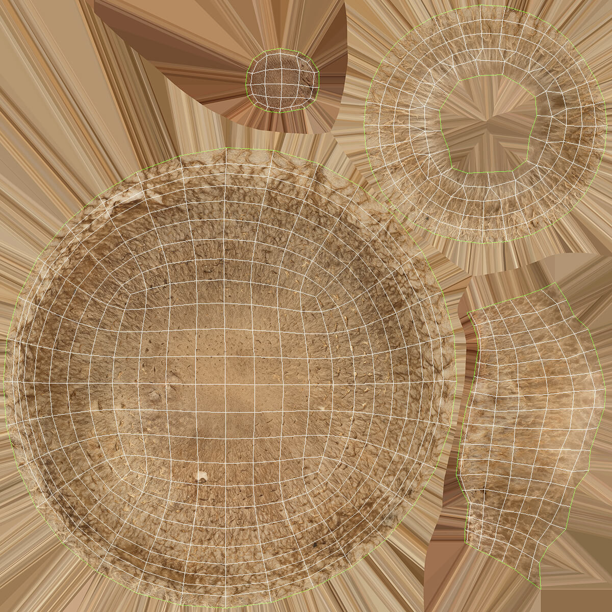 Shiitake Mushrooms Collection by Krakken