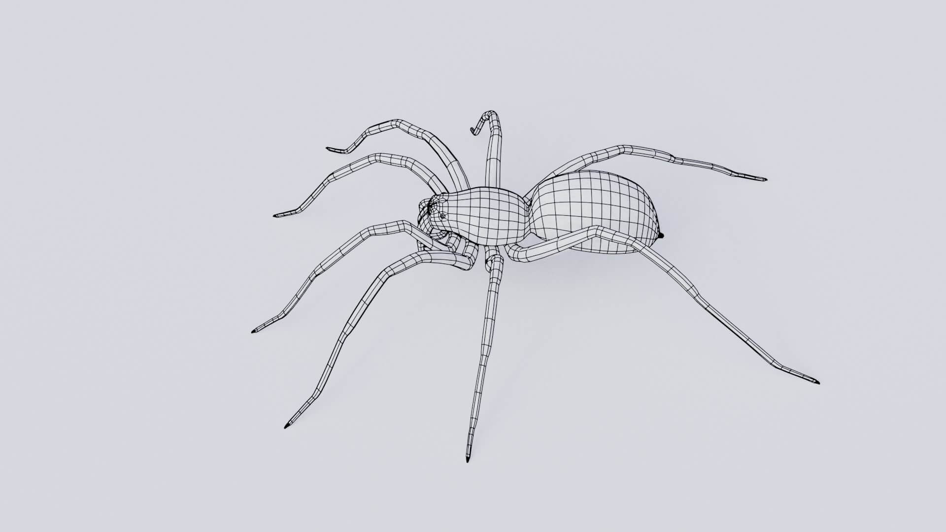 Wolf Spider - 3D Model by Kulacha