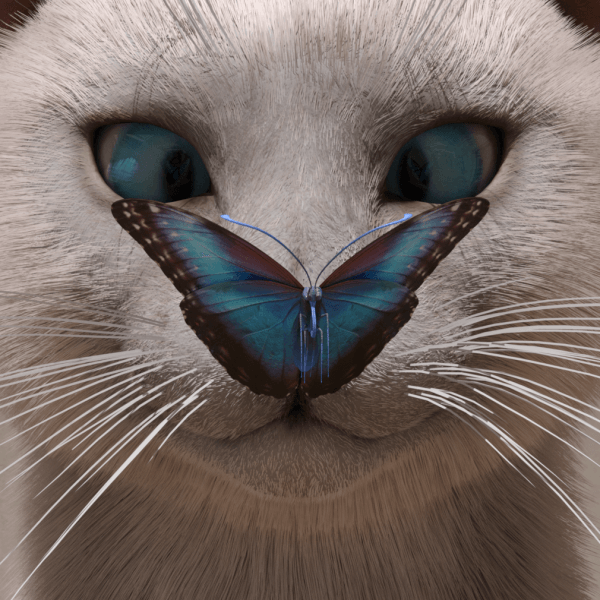 3D Art Gallery by Lawrence Jamieson at RenderHub