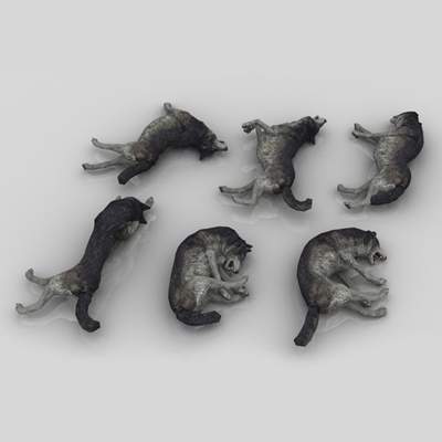 Animals 3D Models | 3D Wolves | RenderHub