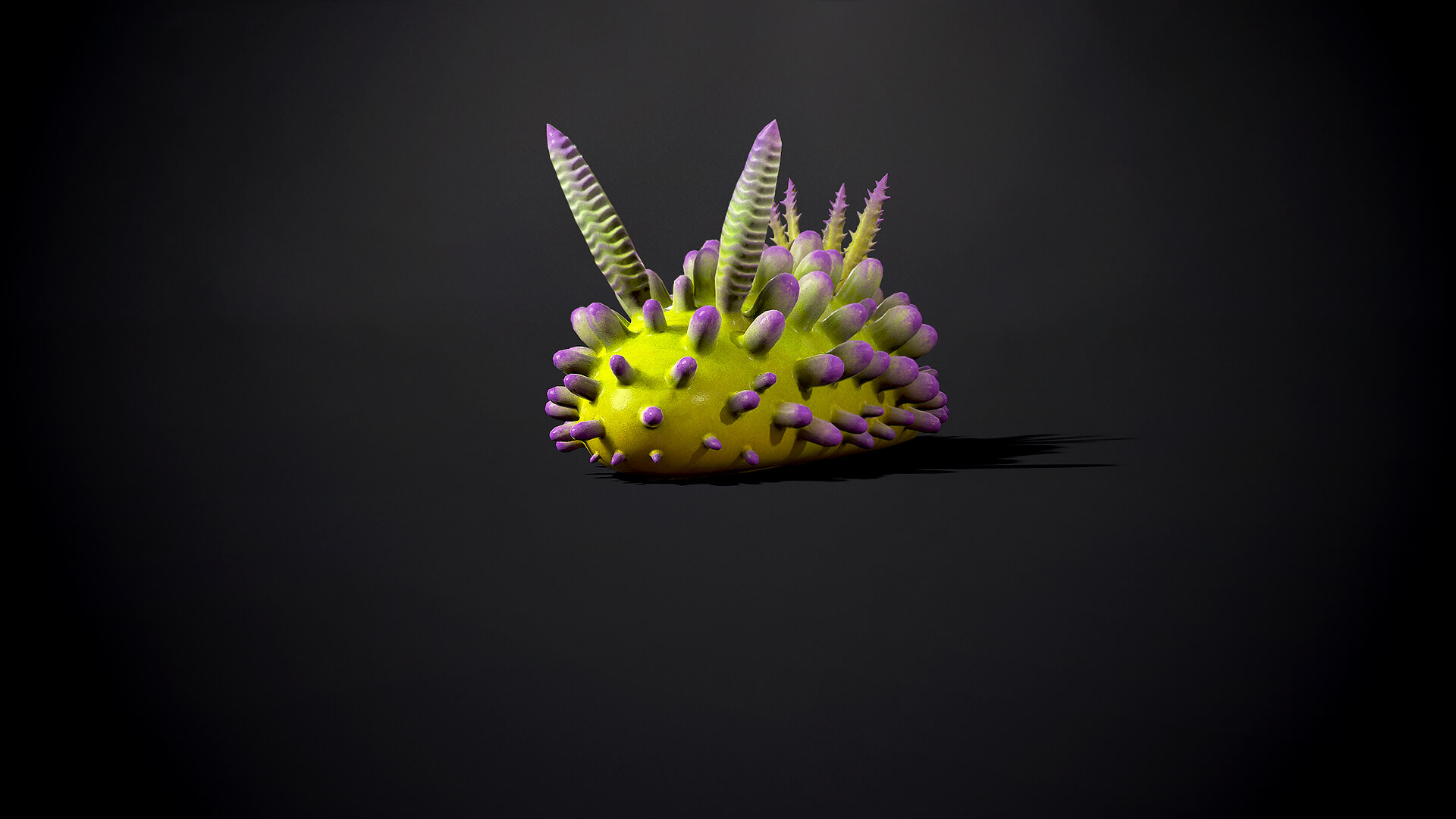 Cadlinella Ornati - 3D Model by Liana1