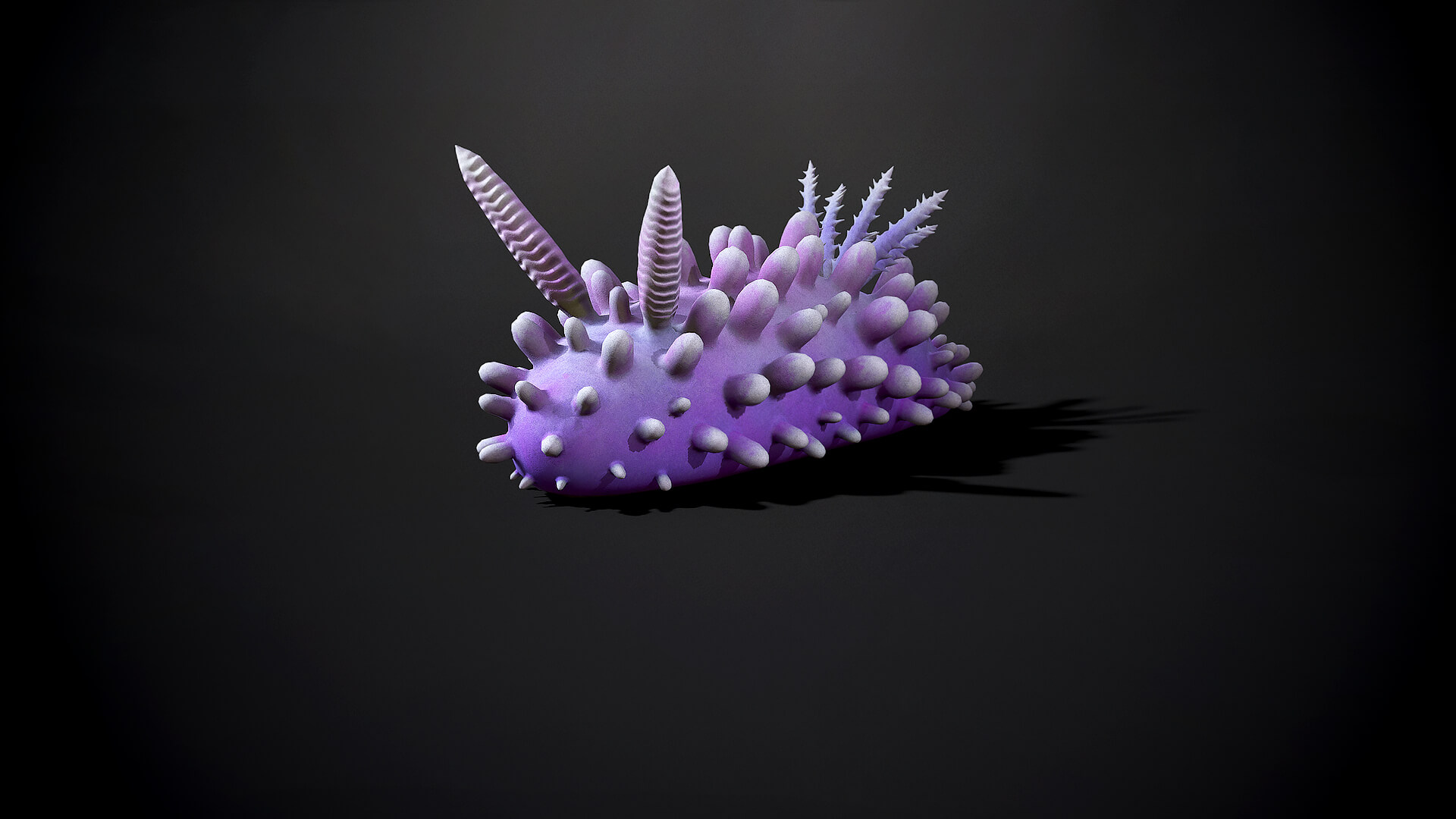 Cadlinella Ornati - 3D Model by Liana1