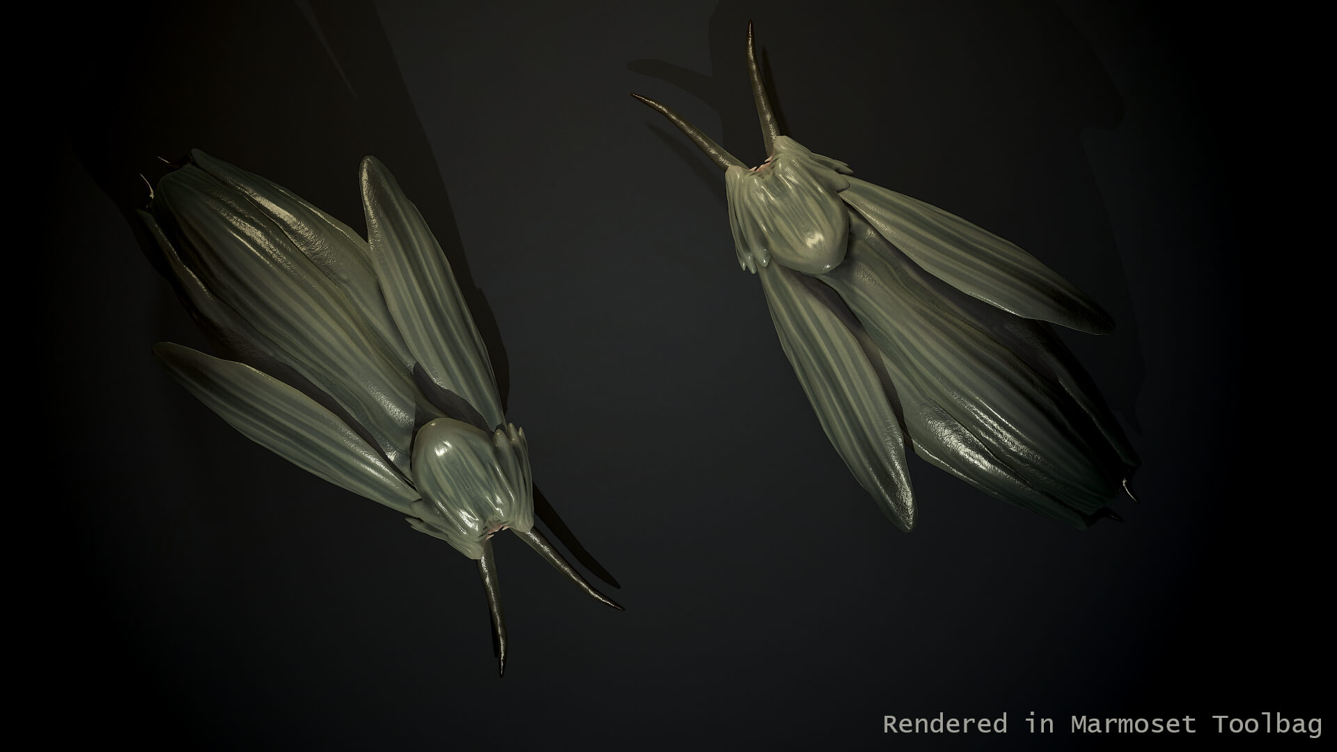 Clam Creature 1 - 3D Model by Liana1