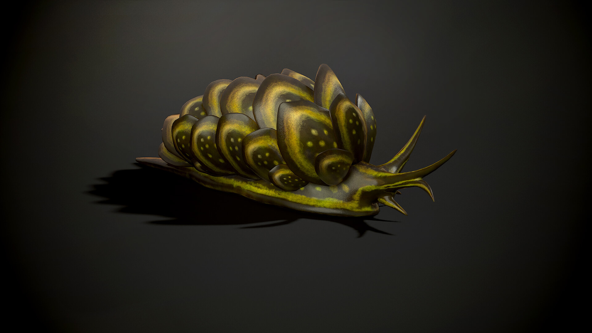 Cyerce Nigricans - 3D Model by Liana1