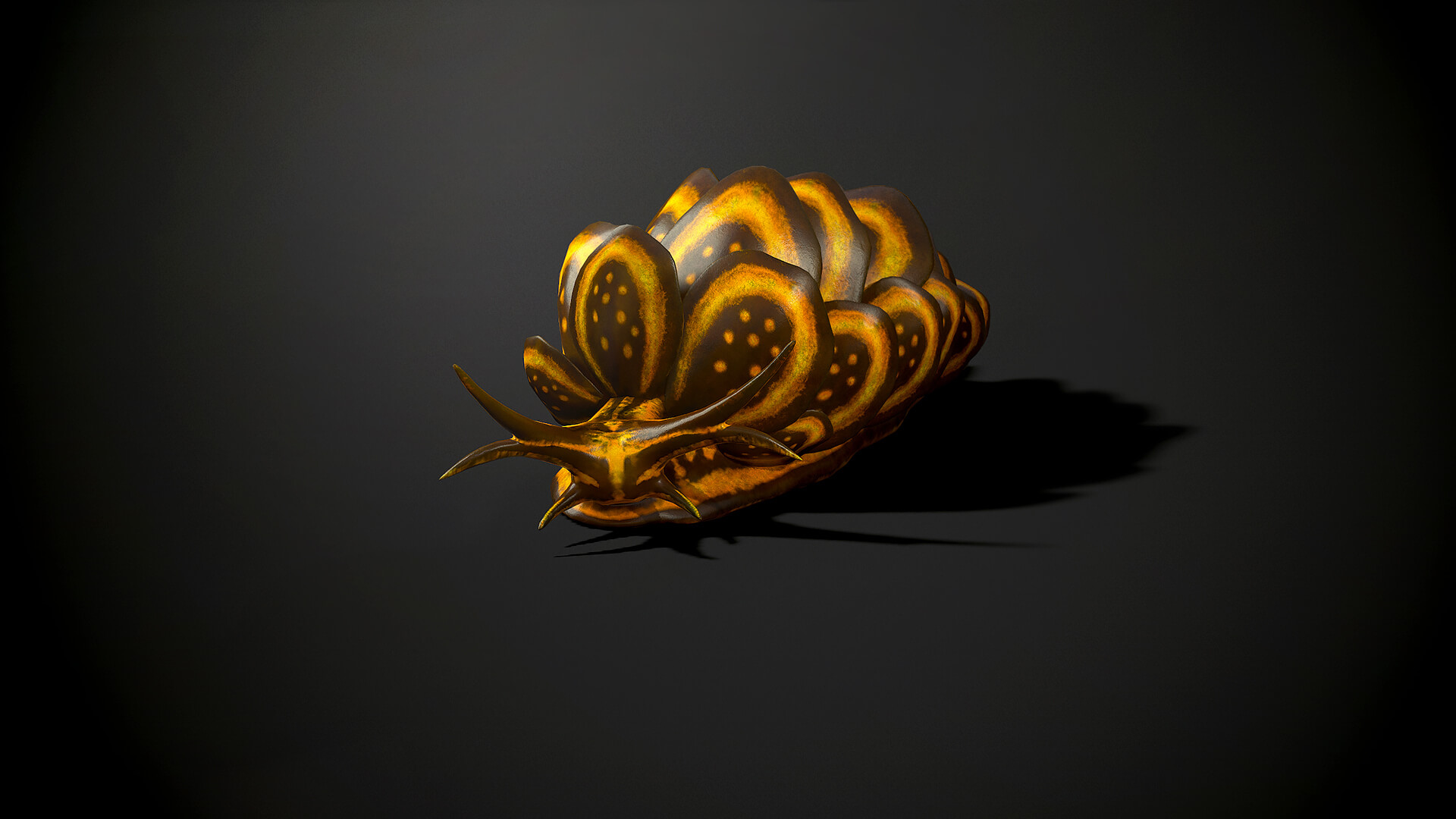 Cyerce Nigricans - 3D Model by Liana1
