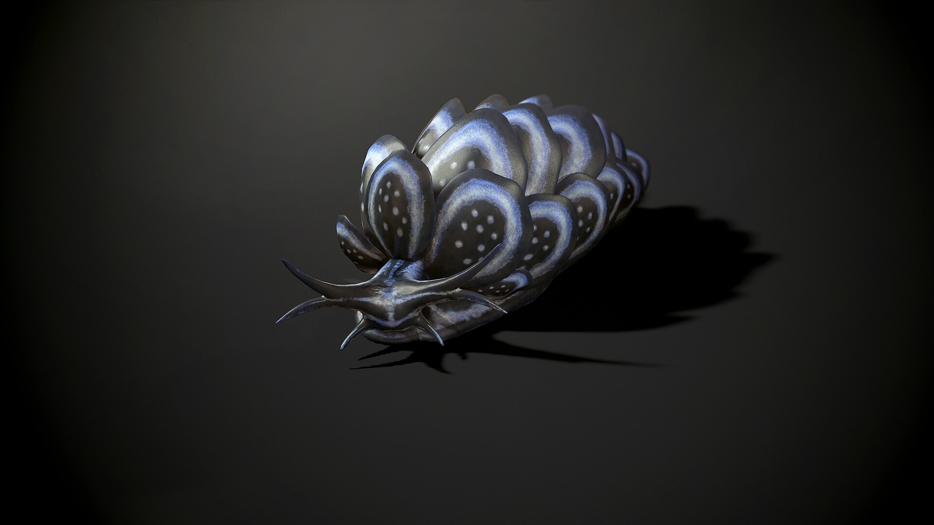 Cyerce Nigricans - 3D Model by Liana1