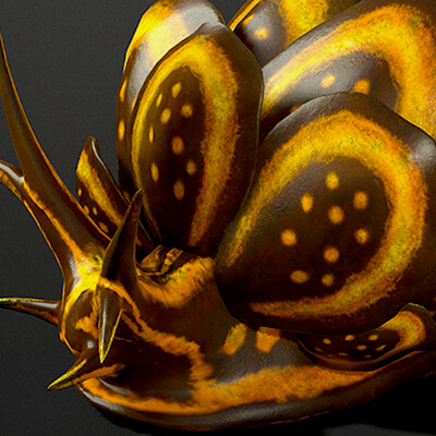 Ue Projects | Creatures | Insects | RenderHub