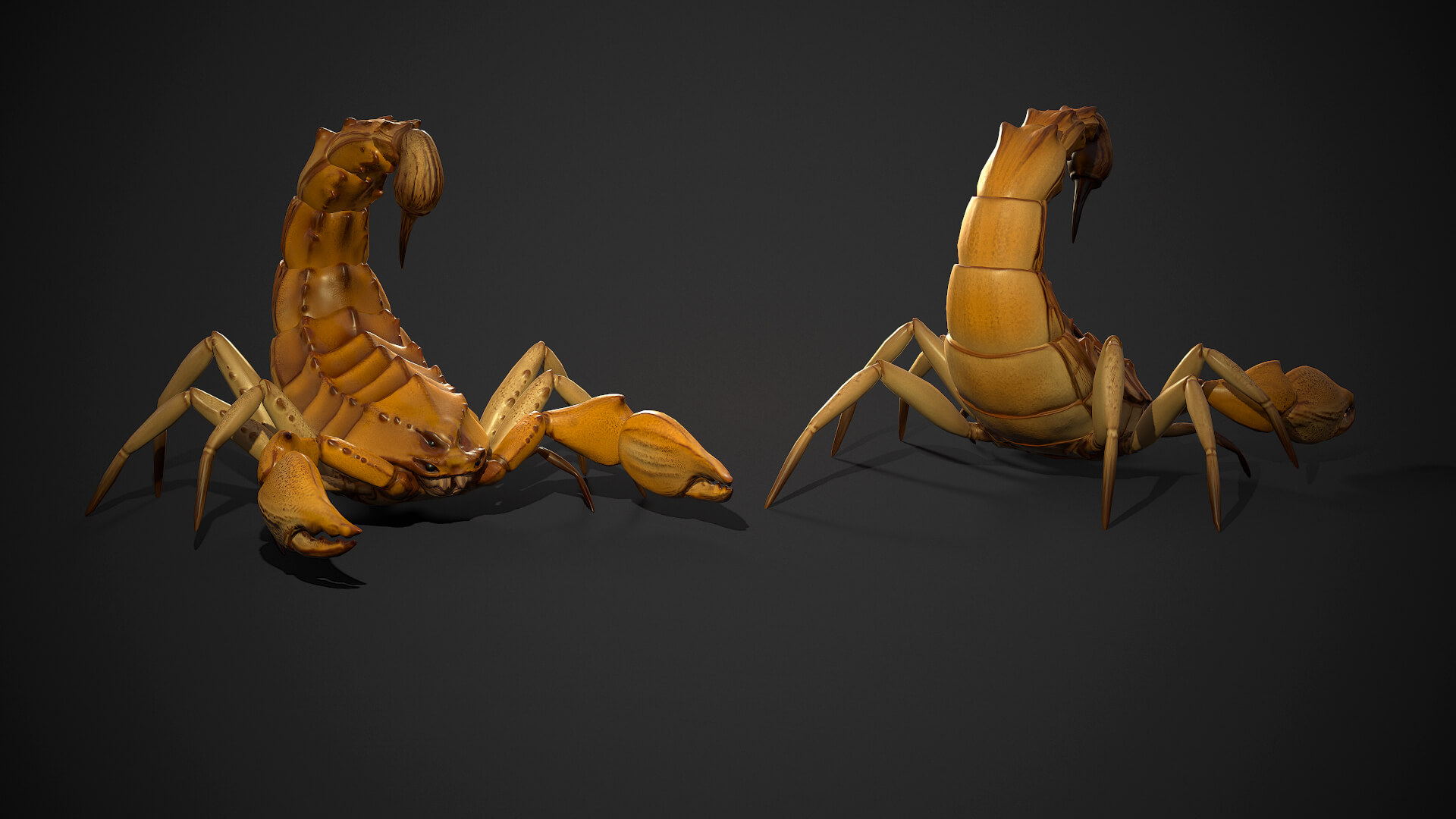 Fantasy Scorpion - 3D Model by Liana1