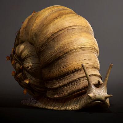 Land Snail 2 - 3D Model by Liana1