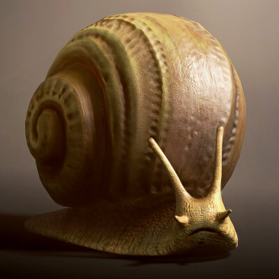 Land Snail 1 - 3D Model by Liana1
