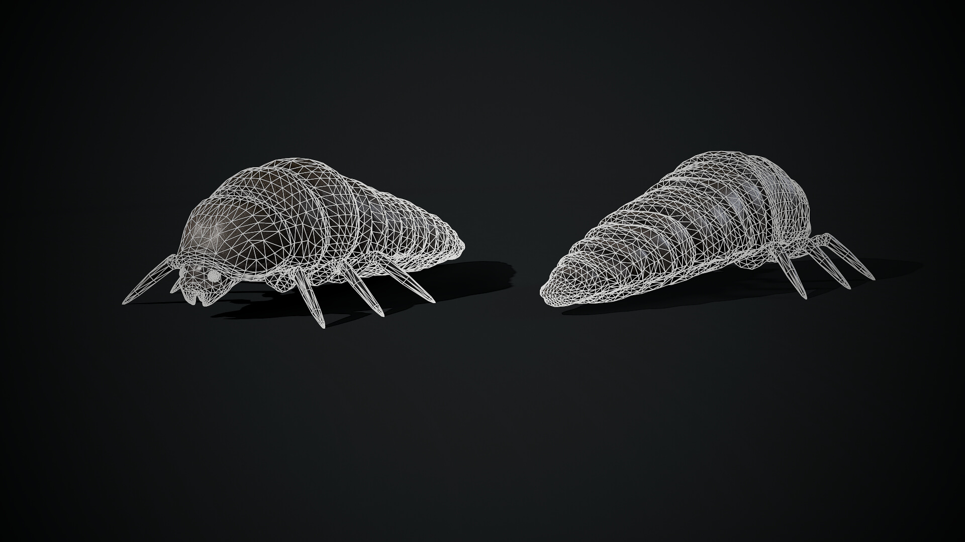 Larva Insect 1 - 3D Model by Liana1