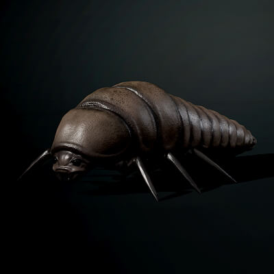 Animated 3D Models | Creatures | Insects | RenderHub