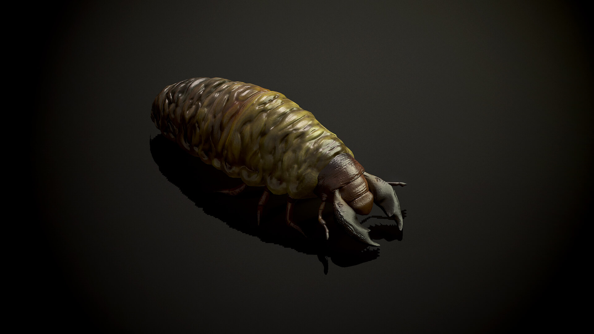 Larva Insect2 - 3D Model by Liana1
