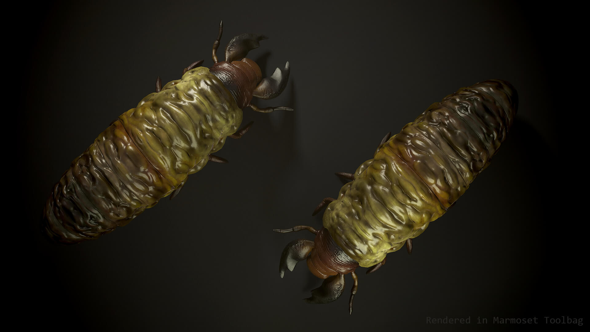 Larva Insect2 - 3D Model by Liana1