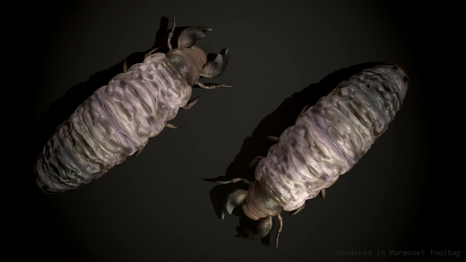 Larva Insect2 - 3D Model by Liana1