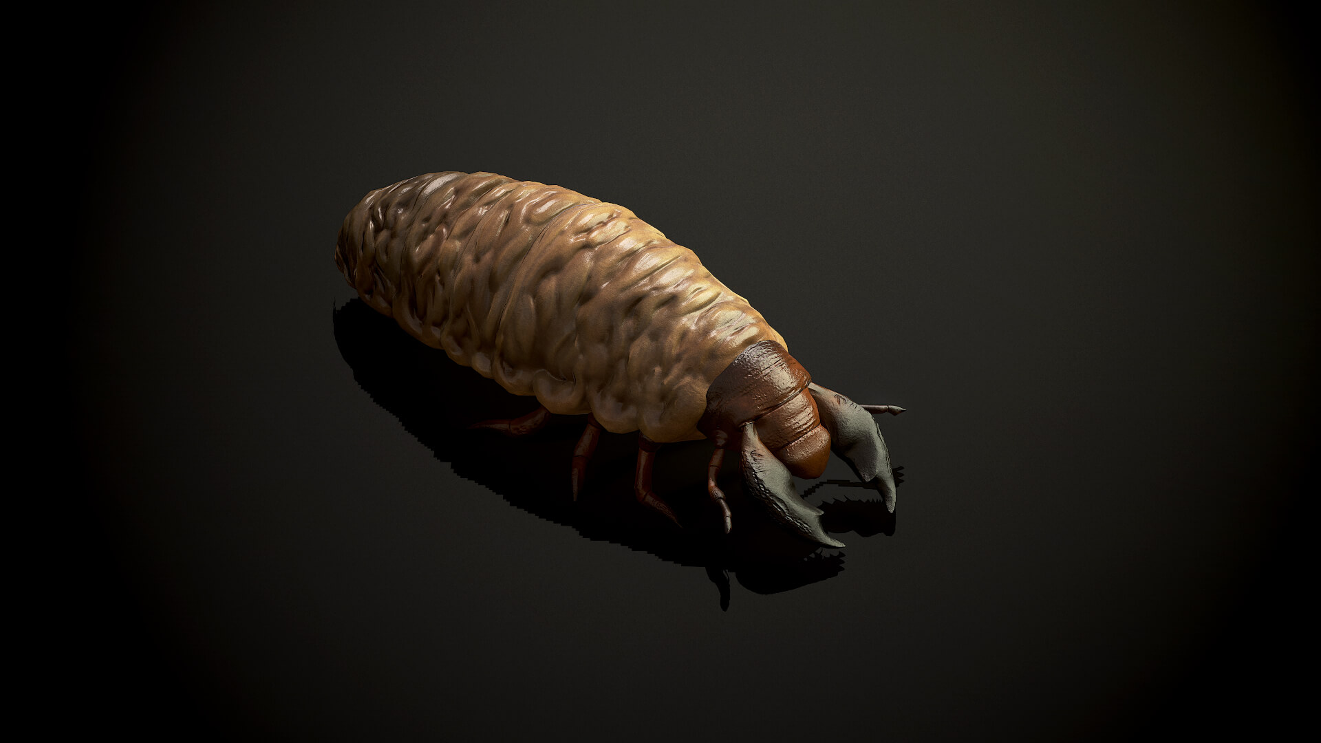 Larva Insect2 - 3D Model by Liana1