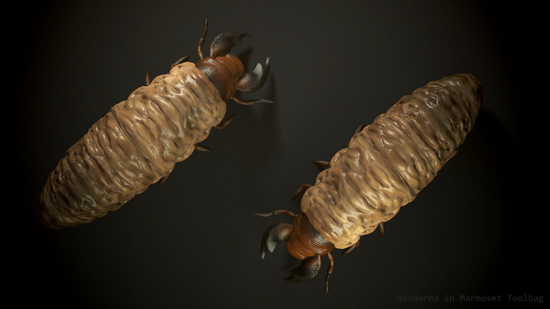 Larva Insect2 - 3D Model by Liana1