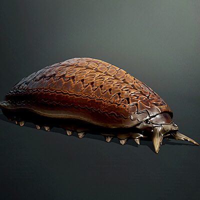 Larvae Creature 1 - 3D Model by Liana1