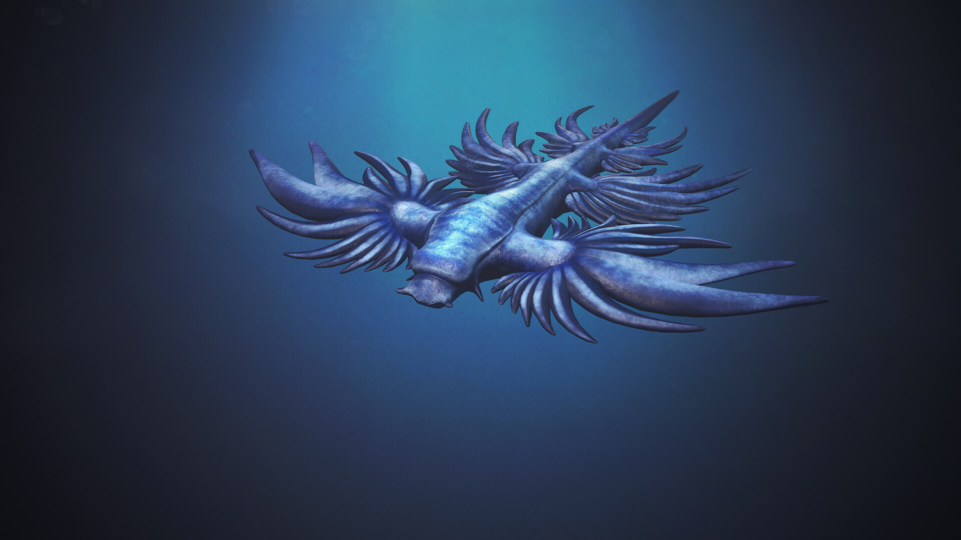 Sea Blue Dragon - 3D Model by Liana1