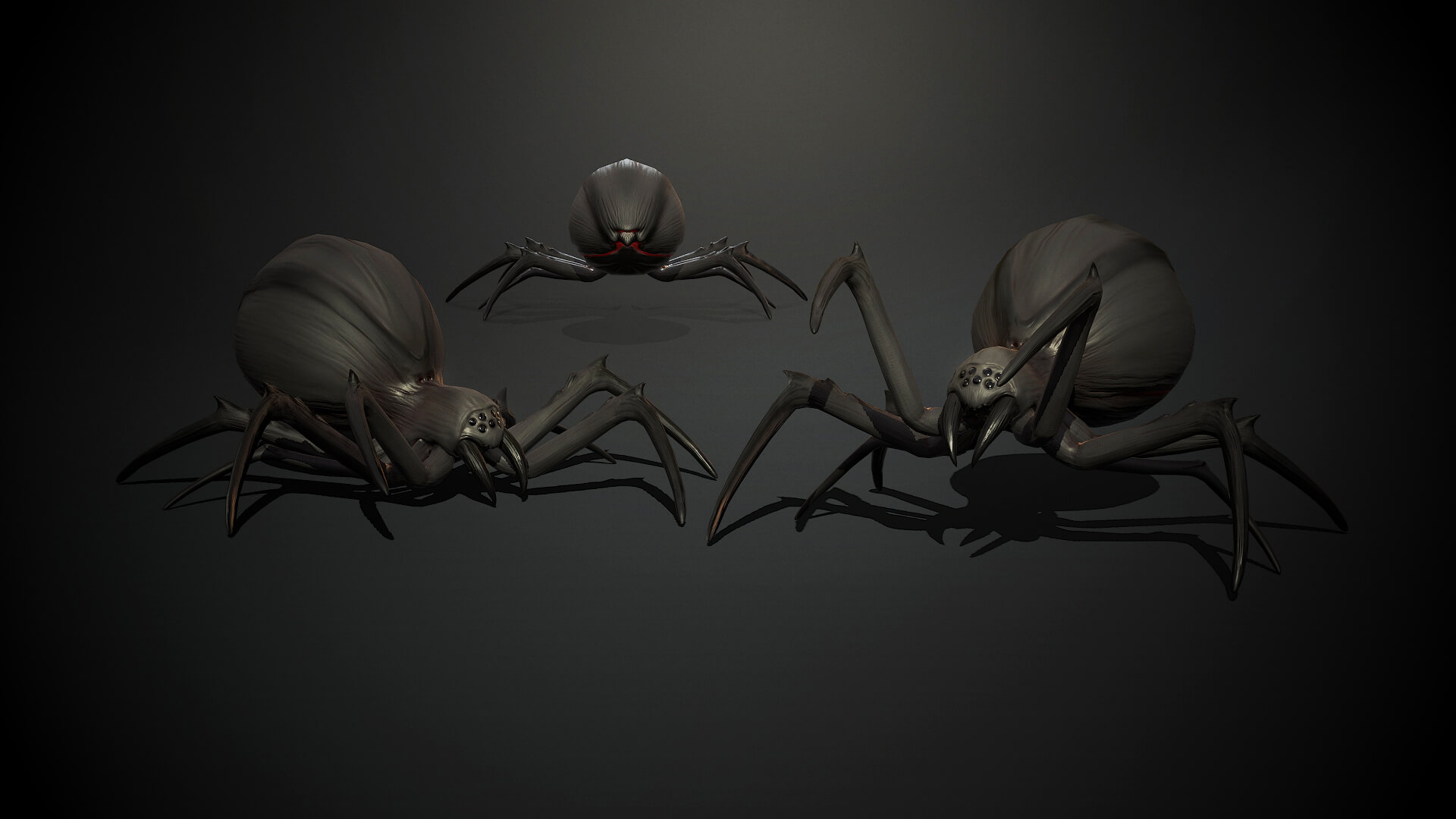 Spider Insect 2 - 3D Model by Liana1