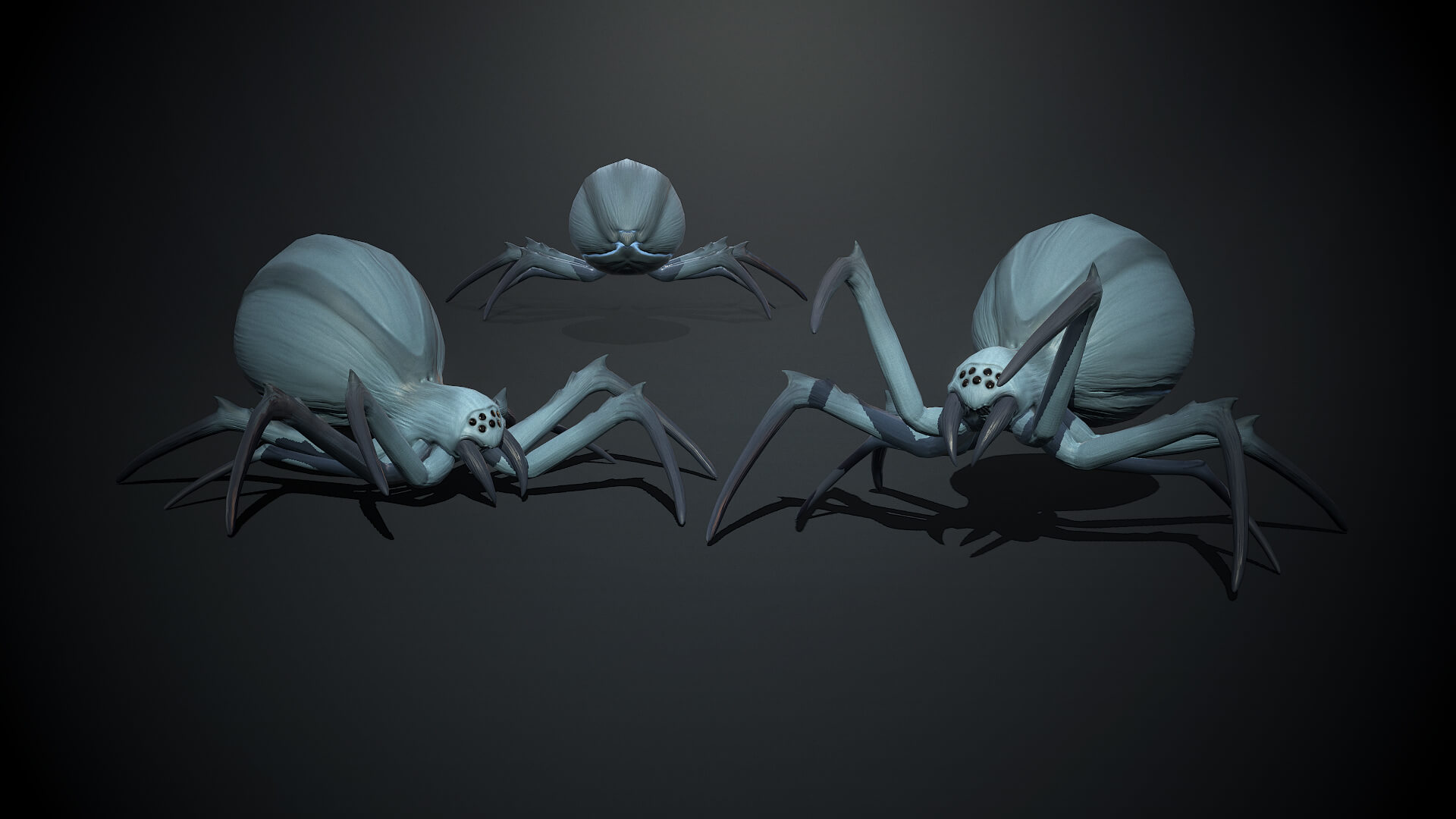 Spider Insect 2 - 3D Model by Liana1