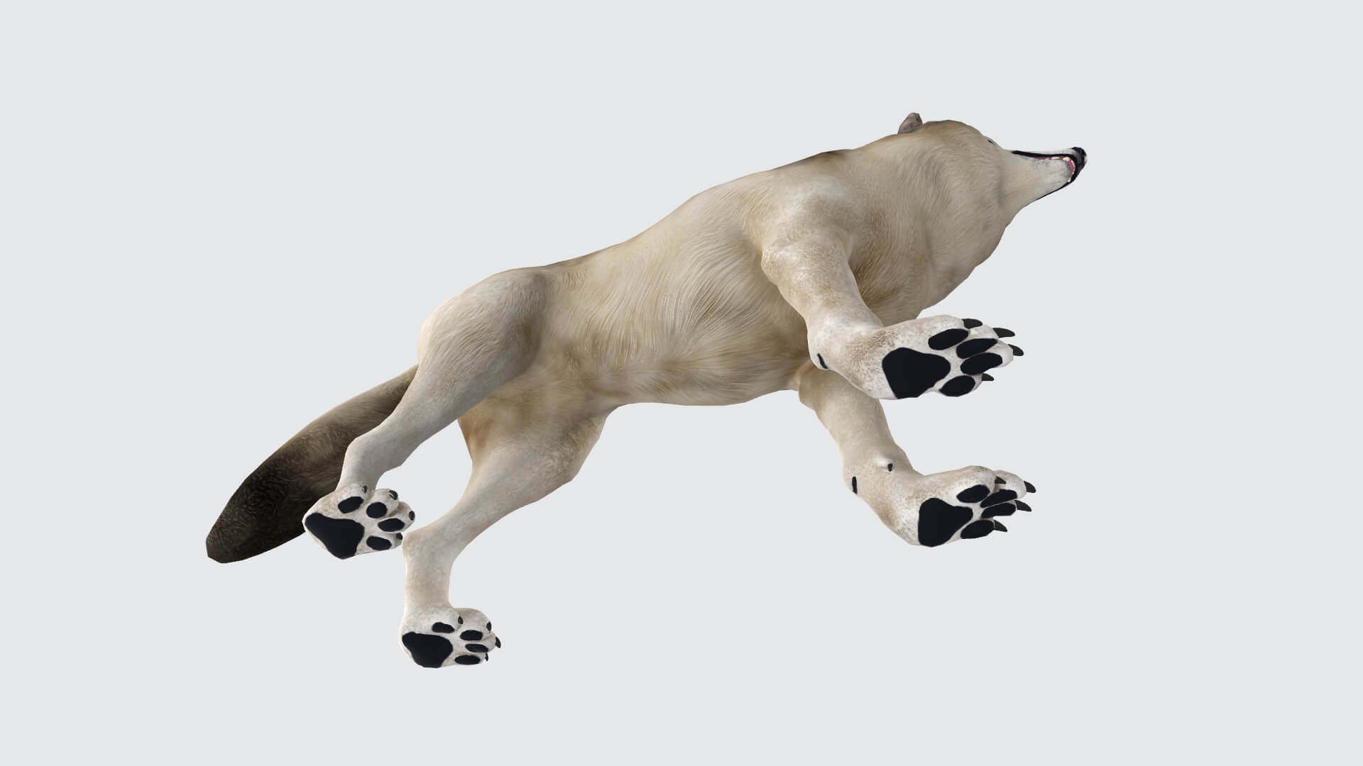 Gray Wolf Animal Figure - 3D Model by LisaHenniga