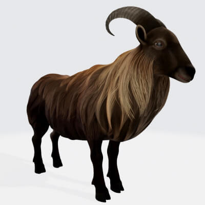 Himalayan Mountain Goat Sculpture - 3D Model by LisaHenniga