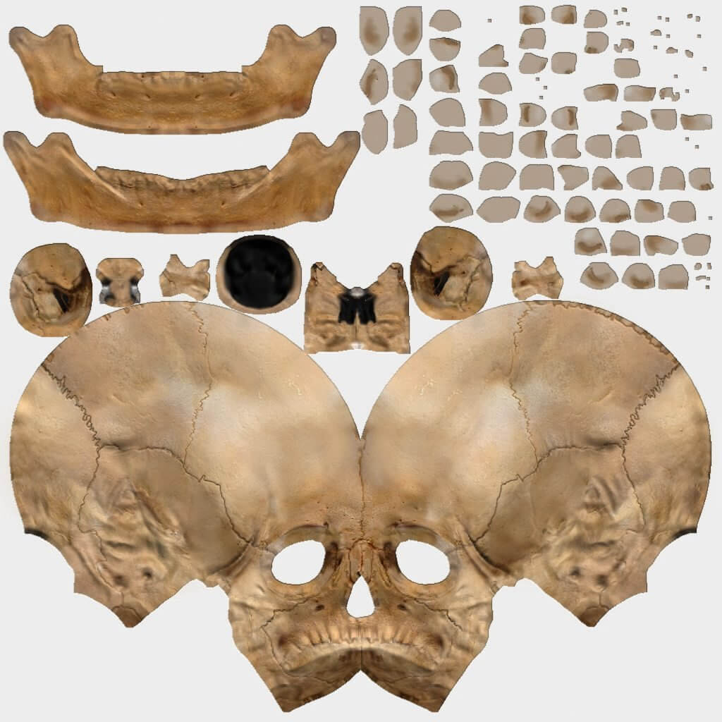 Human Skull Statue - 3D Model by LisaHenniga