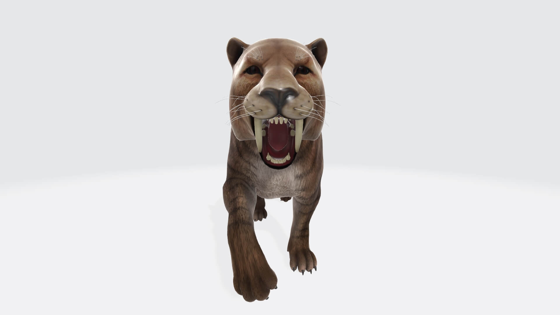Saber Toothed Cat - 3D Model by LisaHenniga